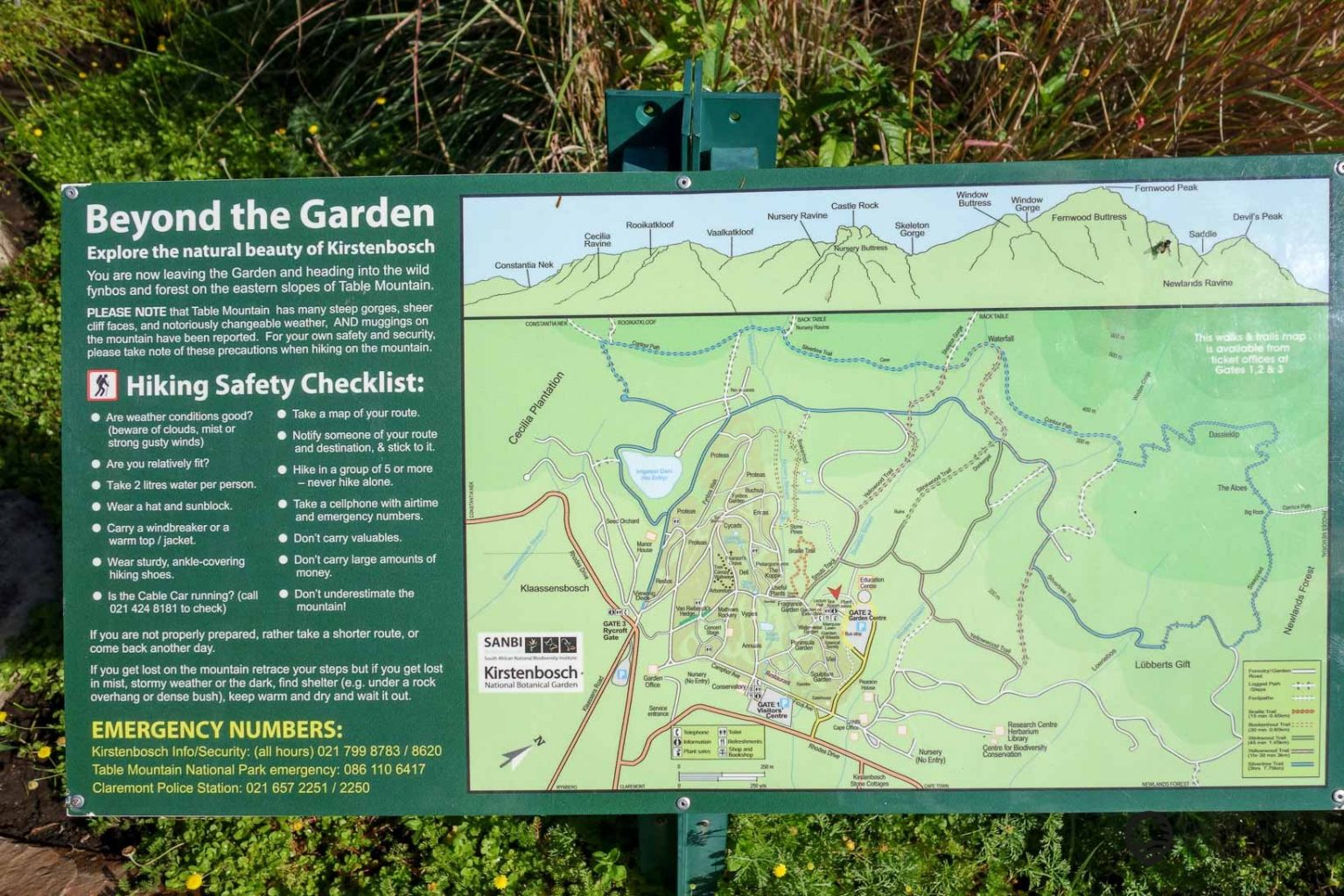 Skeleton Gorge Wanderung: Dein Abenteuer am Tafelberg!