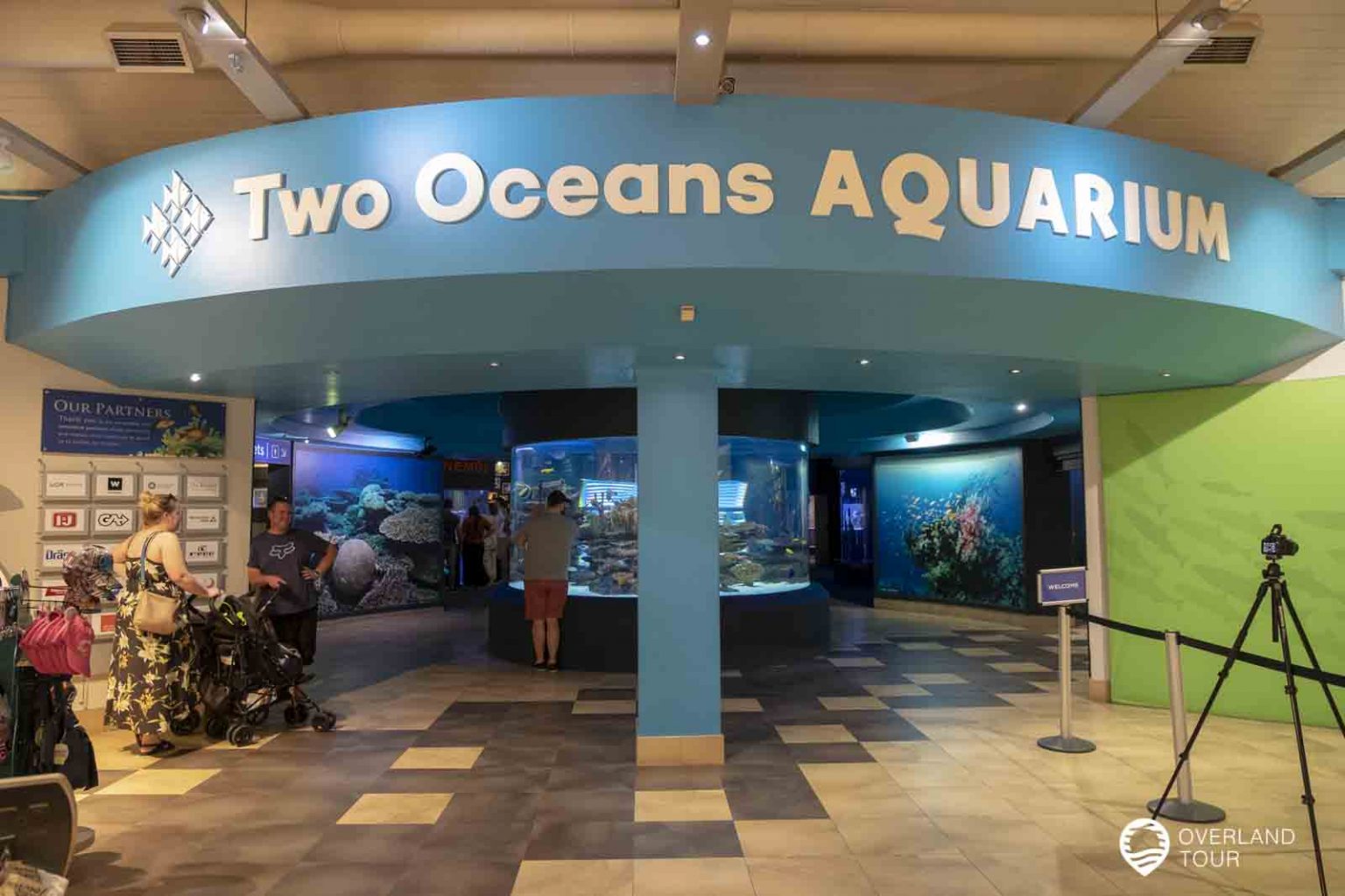 Entdecke das Two Oceans Aquarium - Erlebe die Unterwasserwelt